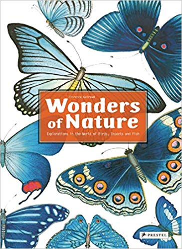 THE WONDERS OF NATURE | Always in the Middle…